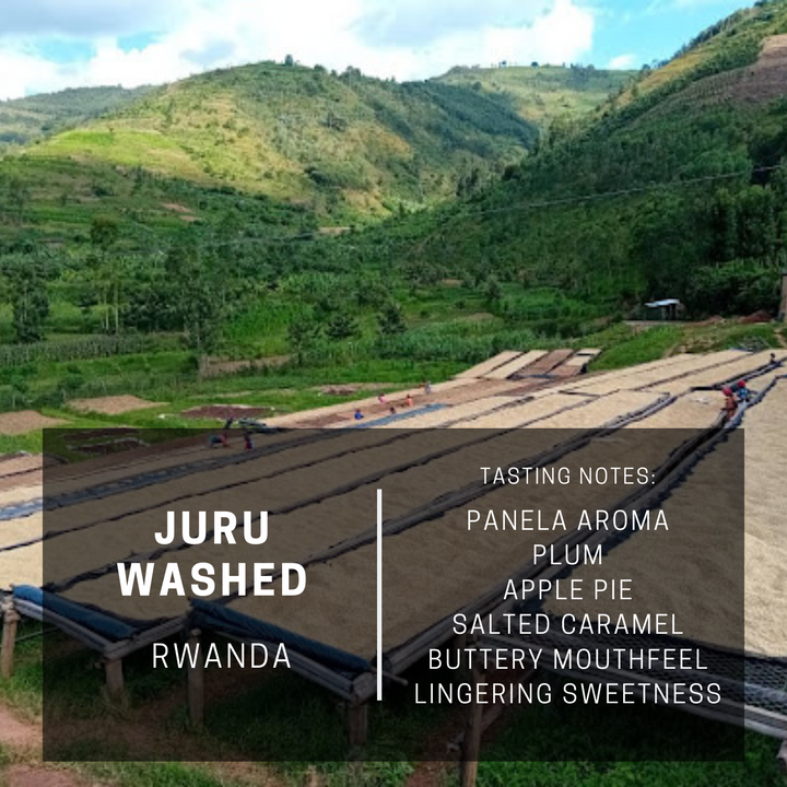 Coffee Beans – Vigilante Coffee Company