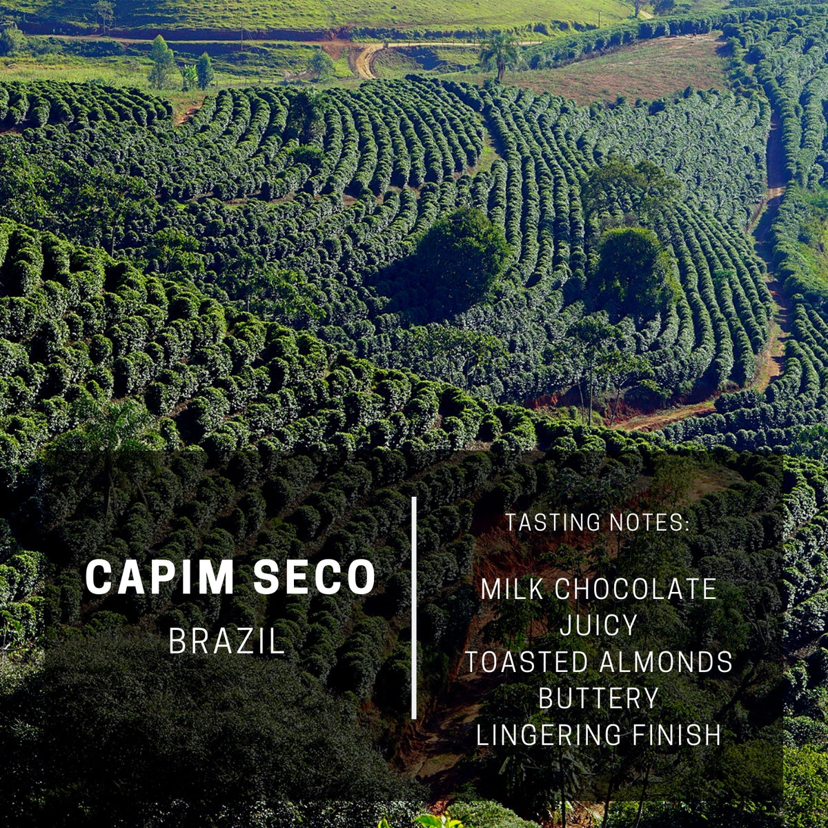 Brazil Capim Seco – Vigilante Coffee Company